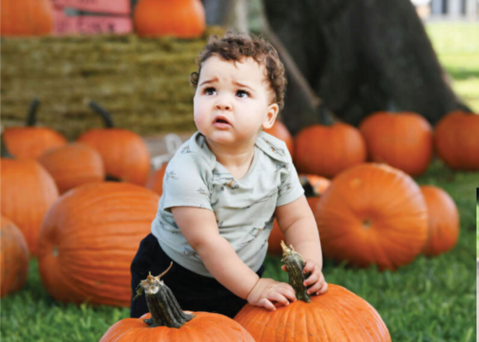 BLMC's Annual Fall Festival | Royal Naval Dockyard